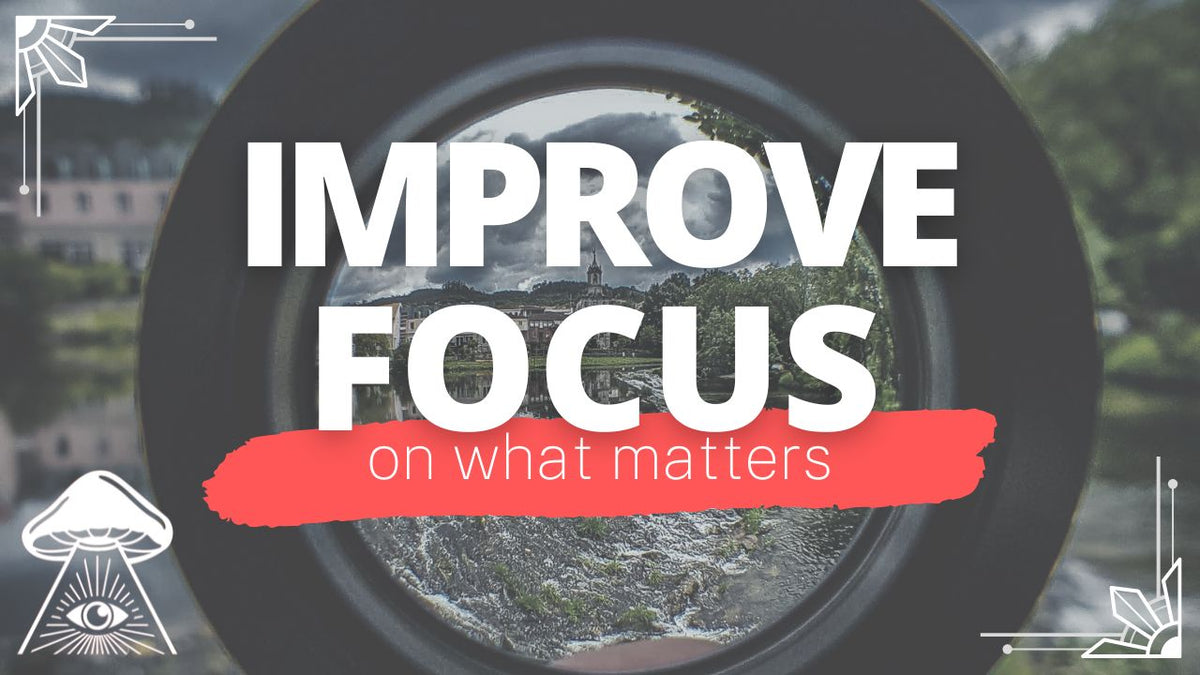 Lift Off Gummies Improving Focus by Providing Clarity – Mushroom and ...