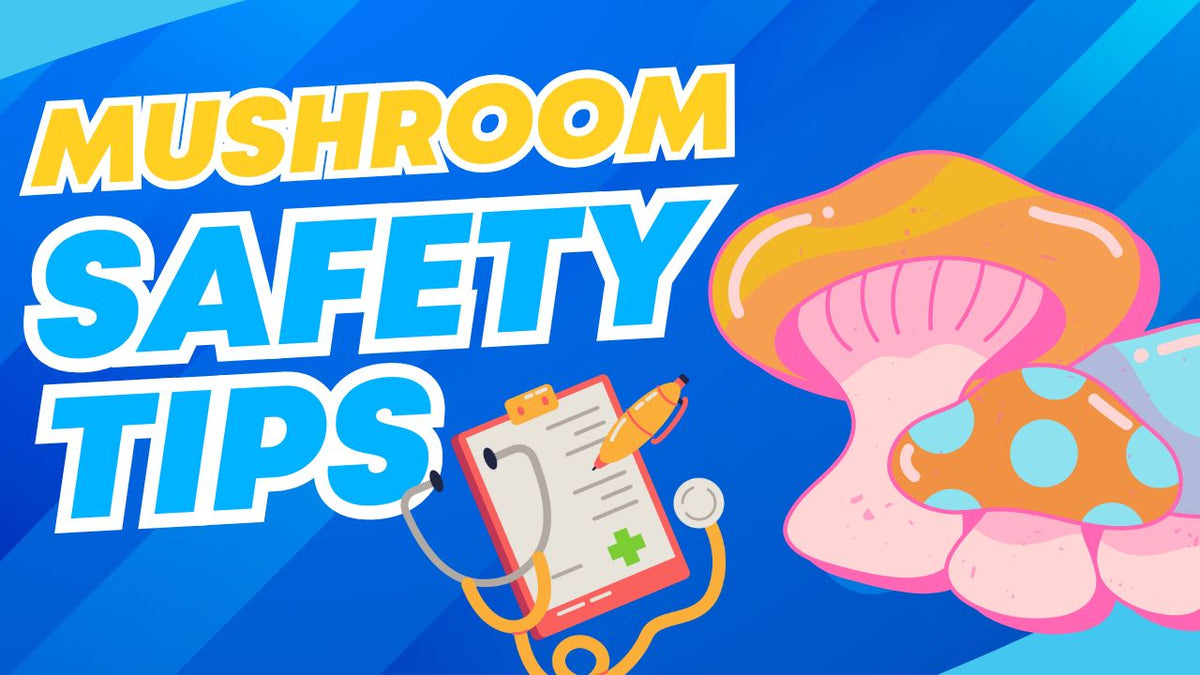 Safety of Lift Off Mushroom Gummies – Premium THCA Flower & Functional ...