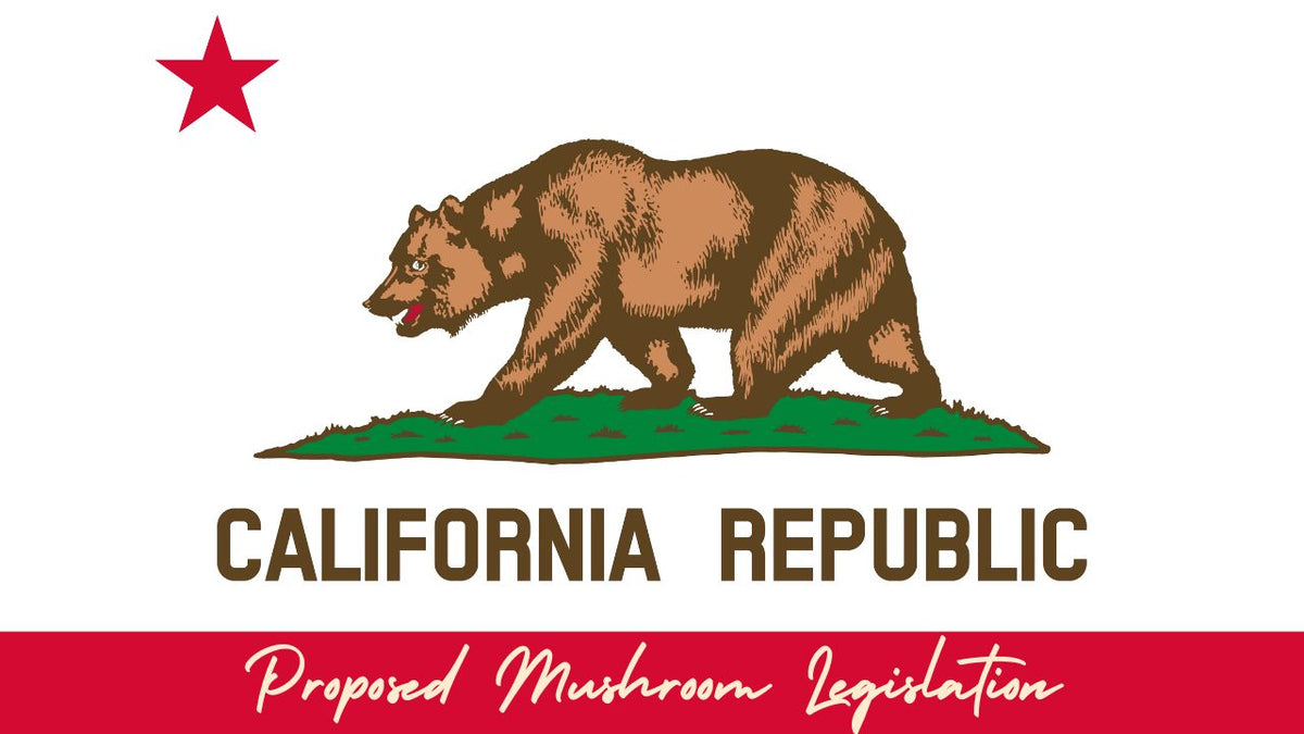 California Bill AB 941 - Controlled Substances: Psychedelic-Assisted T ...