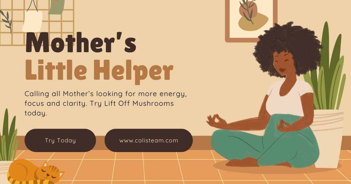 The Little Helper Moms Need for Focus, Energy, and Calm – Mushroom and ...